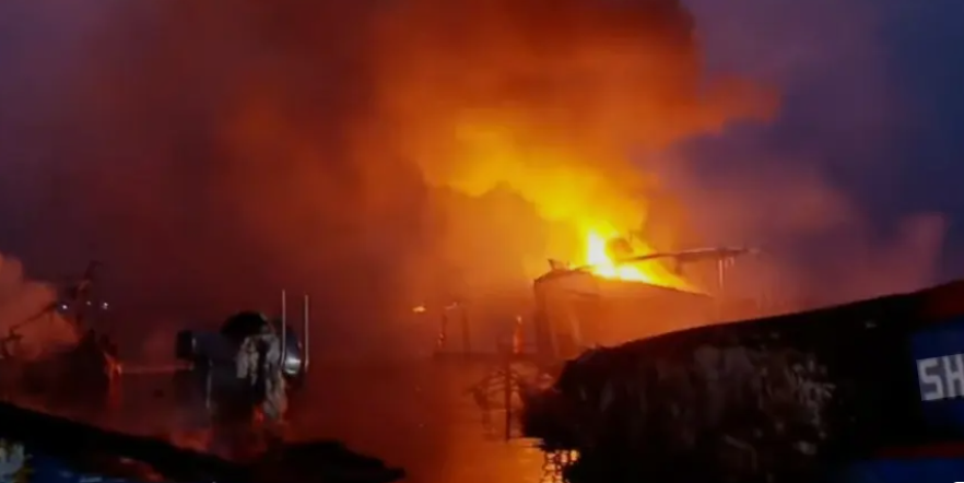 Security forces destroy 35 acres of poppy plantations in Manipur’s ...